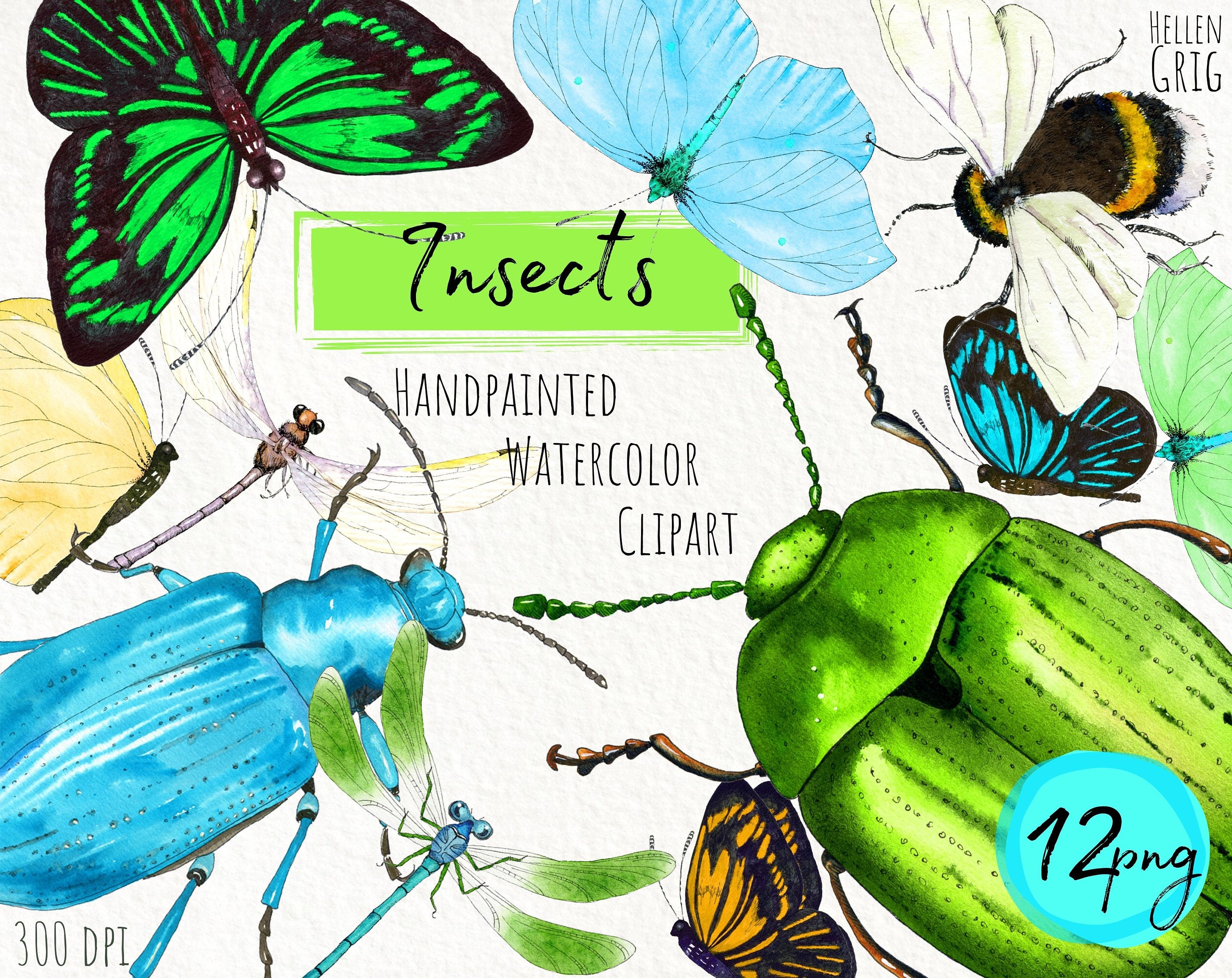 Watercolor Insect Clipart, Handpainted Summer Bug, Beetle, Dragonfly ...