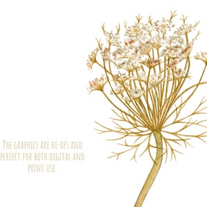 Pink Autumn Border. Watercolor Clipart. Fall Seamless Borders. PNG ...