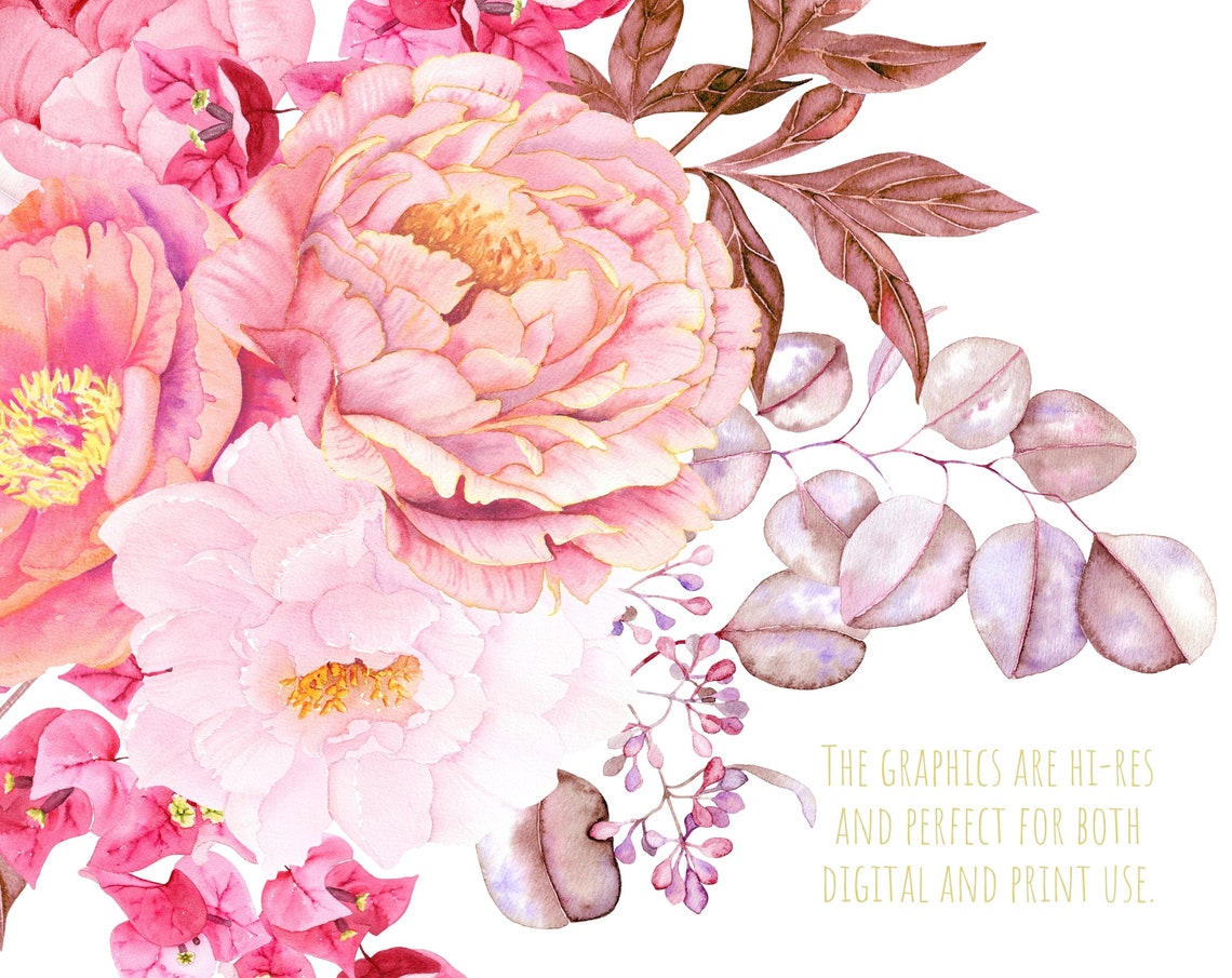 Watercolor Flower Clipart Pink Peony Bouquet Floral - Etsy