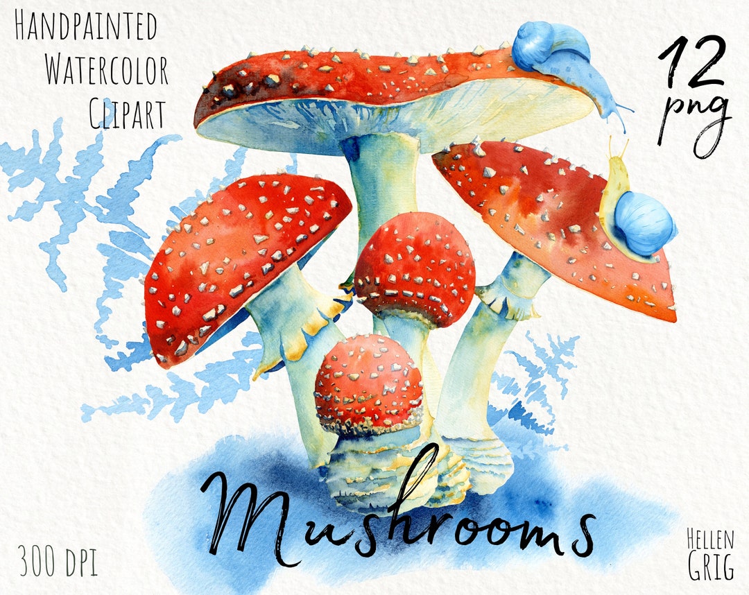 Watercolor Mushroom Clipart, Forest Autumn Clipart, Handpainted Fall ...