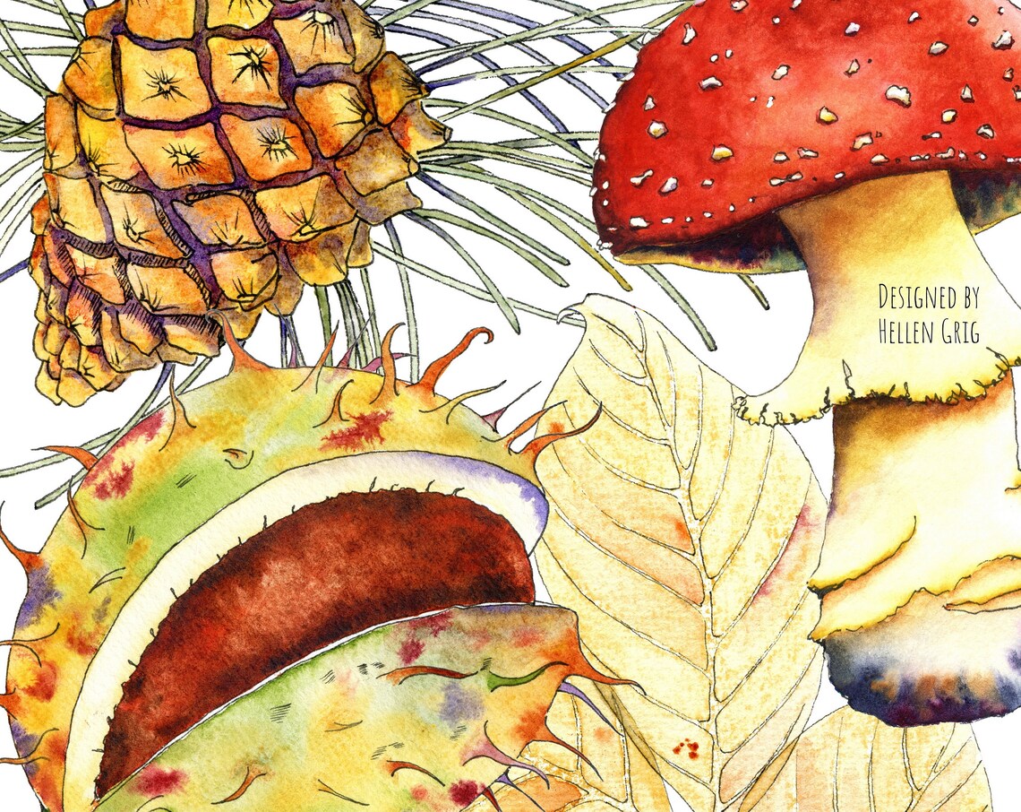 Watercolor Fall Clipart Forest Autumn Clipart Handpainted | Etsy