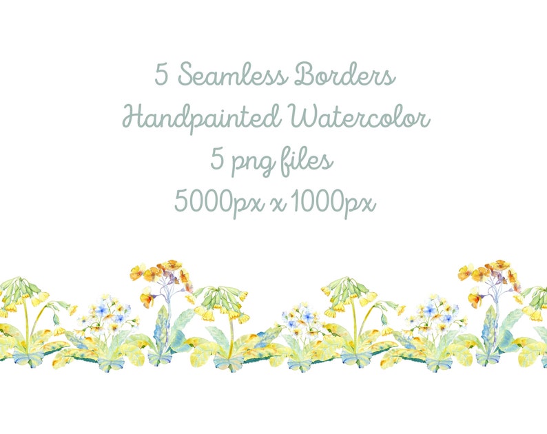 Watercolor Primrose Border Clipart. Spring Seamless Borders. PNG Files ...