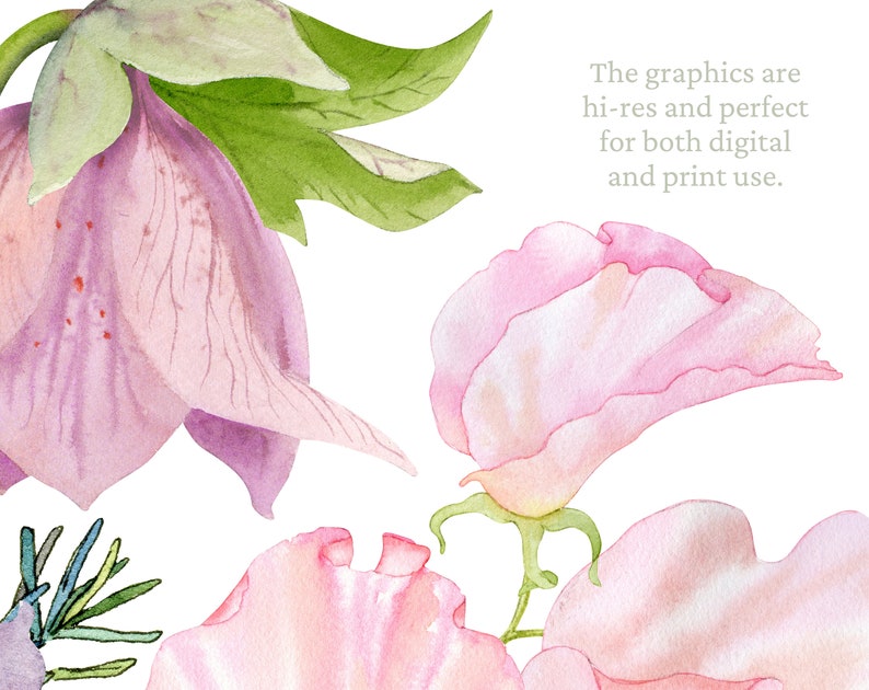 Watercolor Flower Clipart, Winter Bouquet, Floral Arrangements. Wedding ...