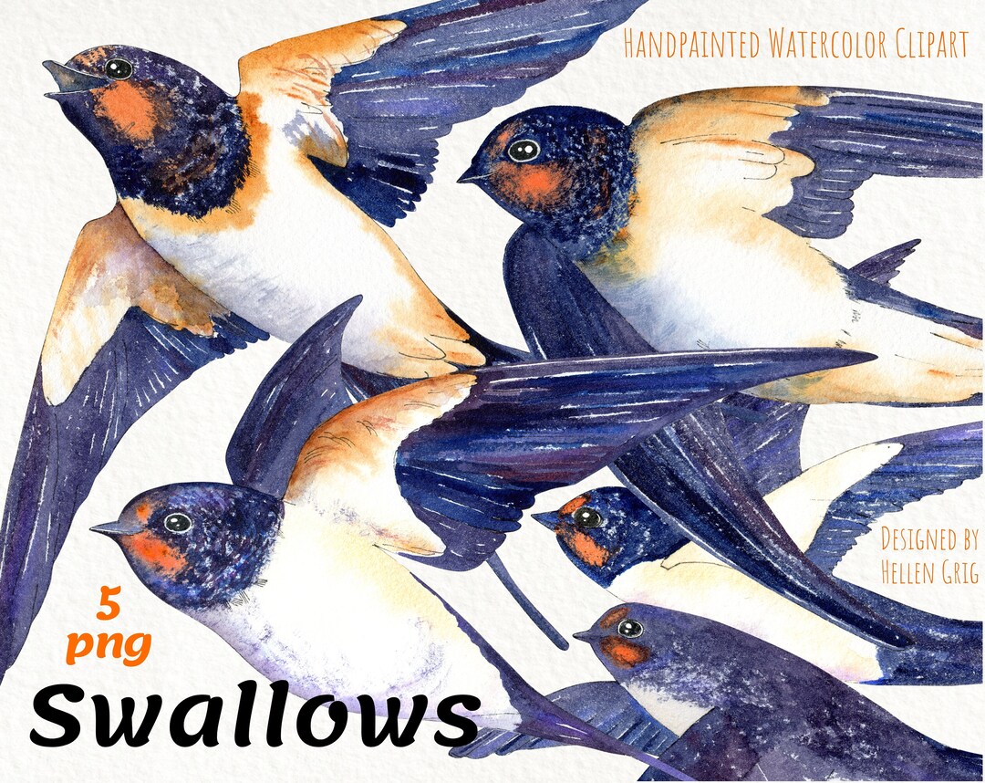 Watercolor Bird Clipart, Handpainted Swallow Clip Art. Printable Files ...