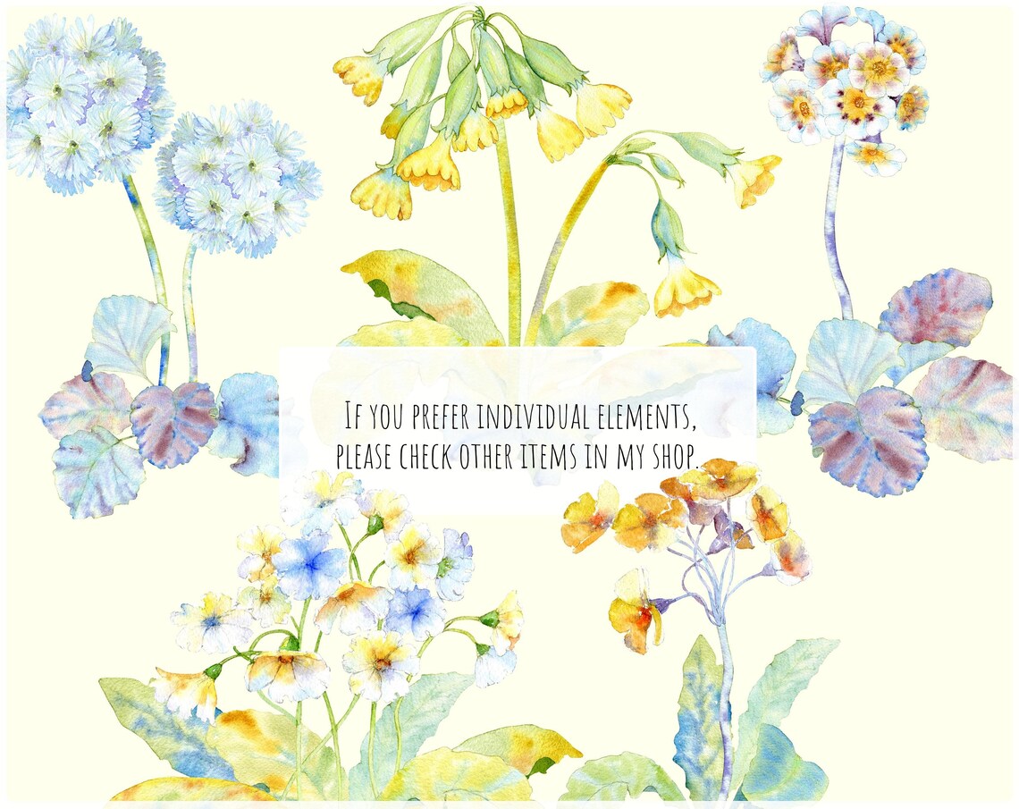 Watercolor Primrose Border Clipart. Spring Seamless Borders. - Etsy