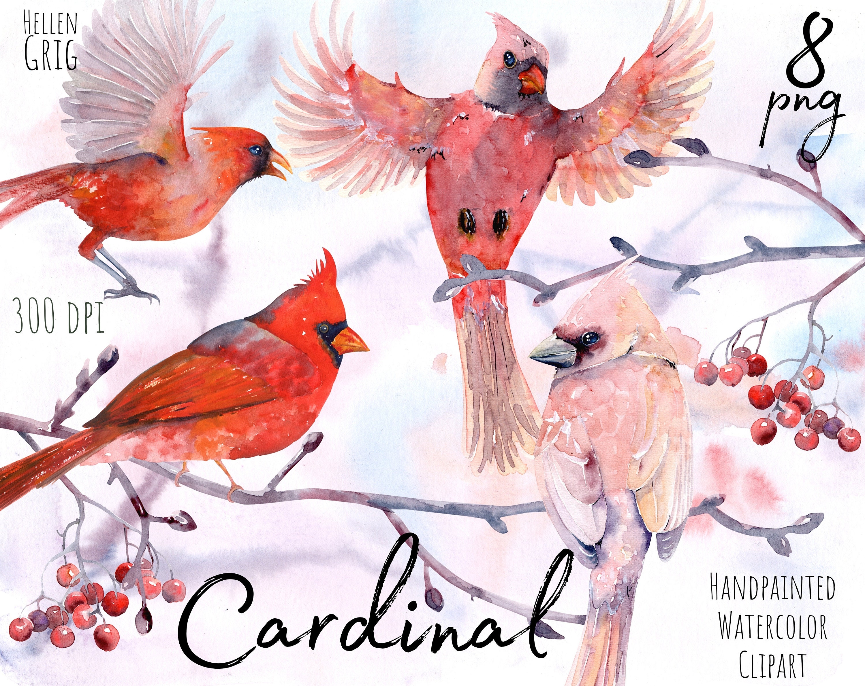 Watercolor Winter Bird Clipart, Handpainted Christmas, Holiday Clipart ...