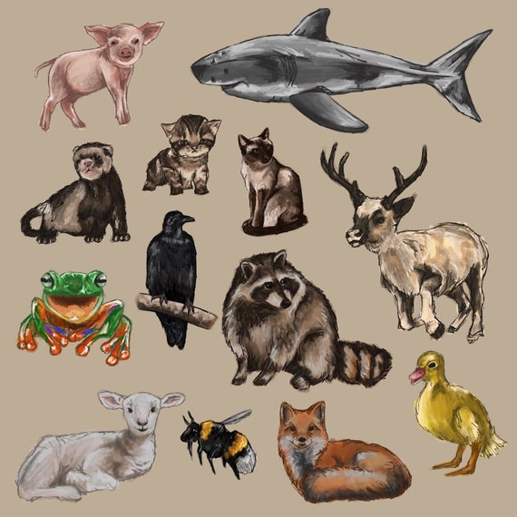 Animals Digital Print | Etsy