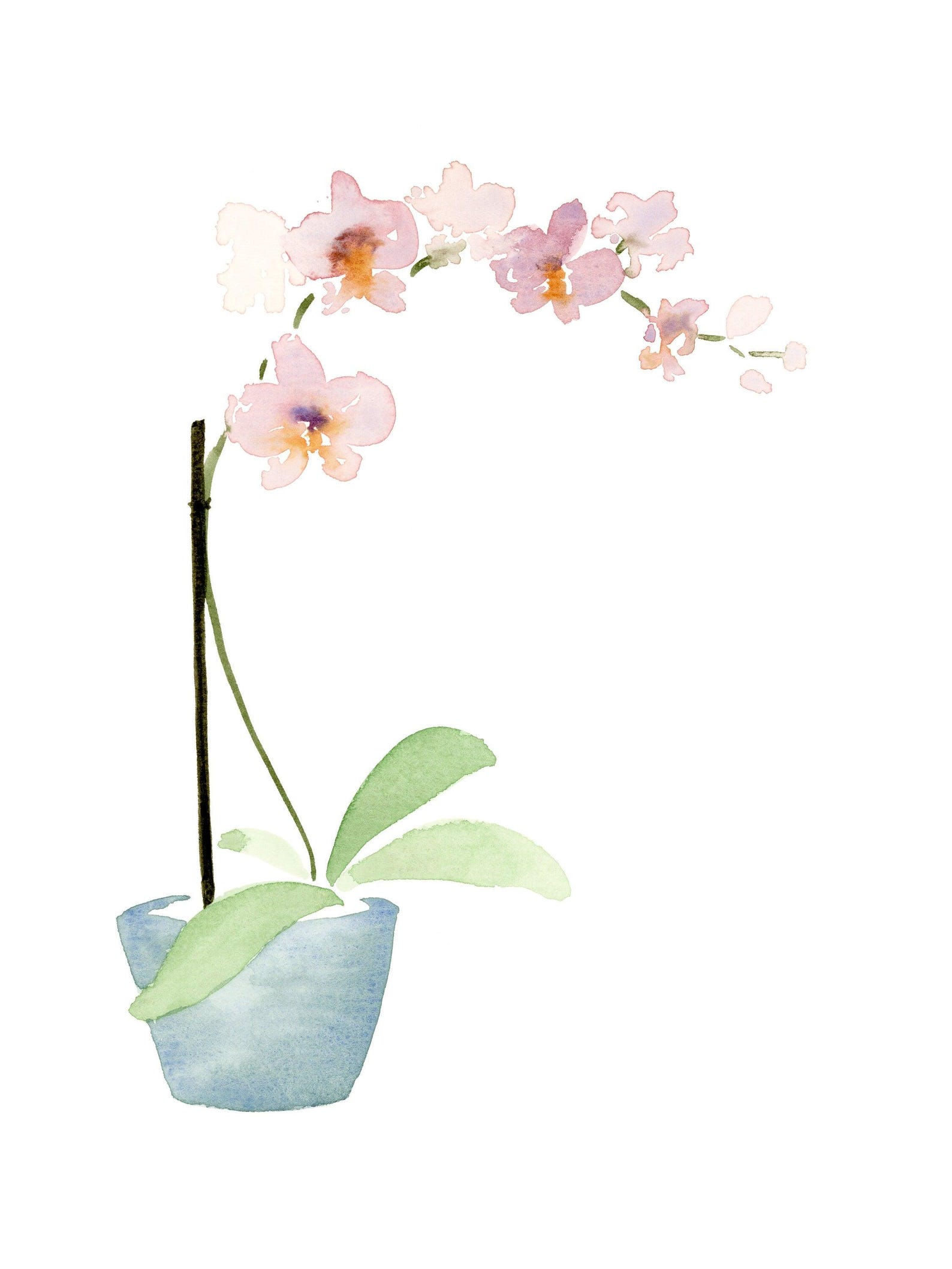 Watercolor Orchid Flower Print - Etsy