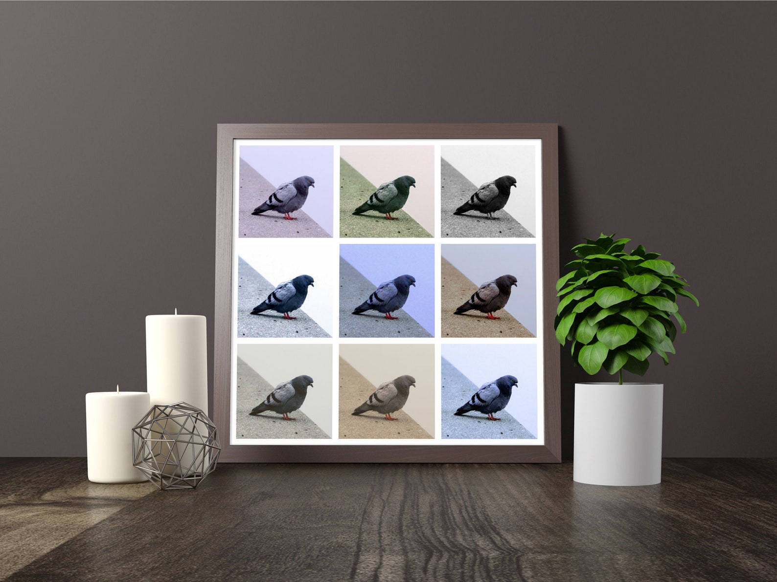 Pigeon Collage Andy Warhol Style Bird Print Avian Mid - Etsy