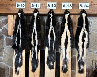 Tanned Skunk Hide With Feet - Etsy