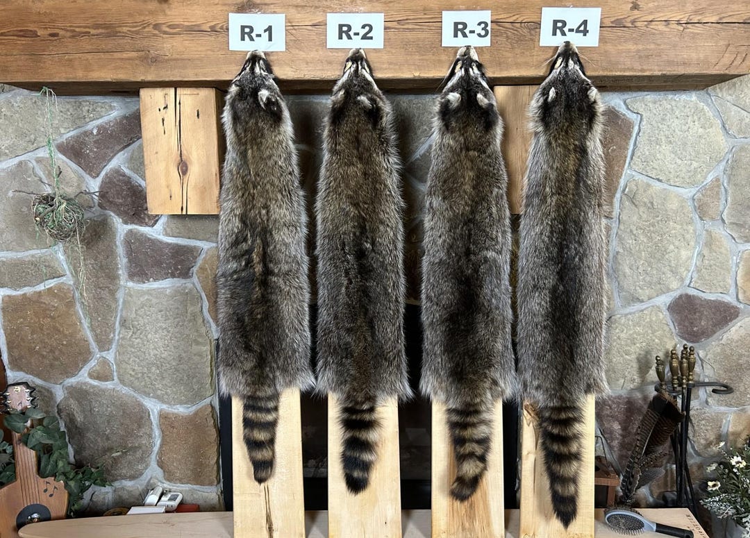 3X Slight Damaged Real Raccoon Fur Pelt, Commercial Garment Tanned - Etsy