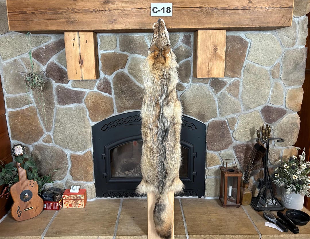 1X-LG Real Coyote Pelt, Commercial Garment Tanned, - Etsy