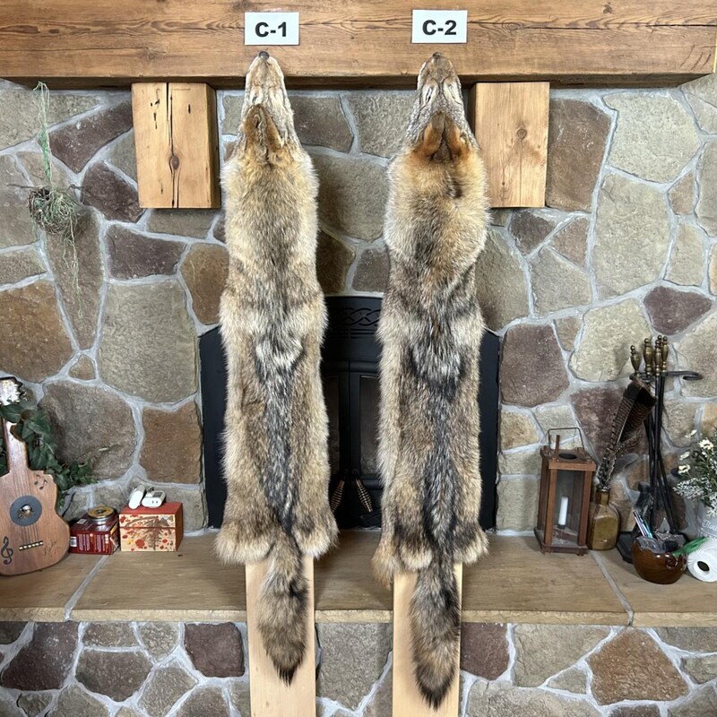 Wolf Skin Rug - Etsy