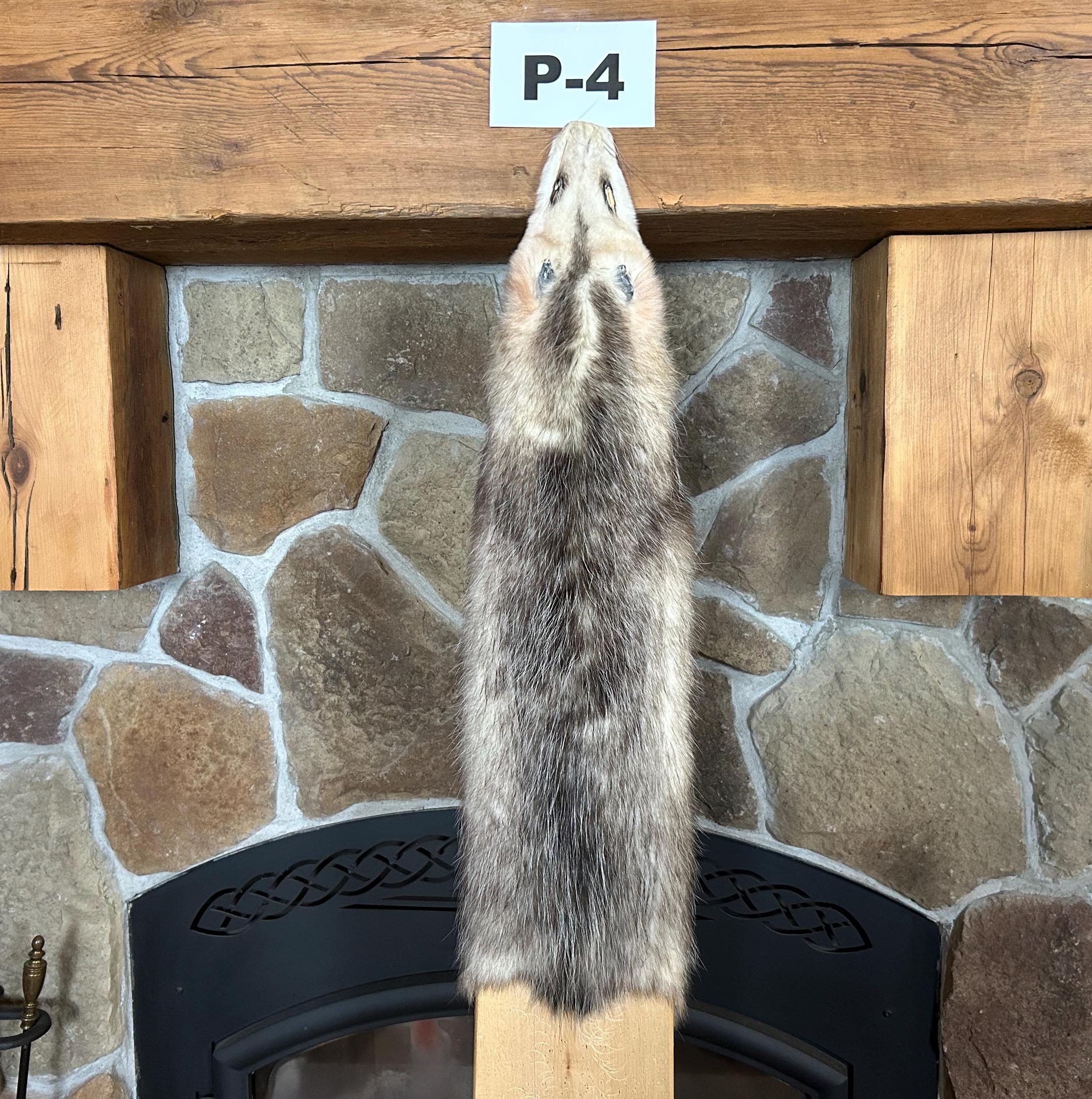 1X Opossum Pelt/commercial Tanned/ - Etsy