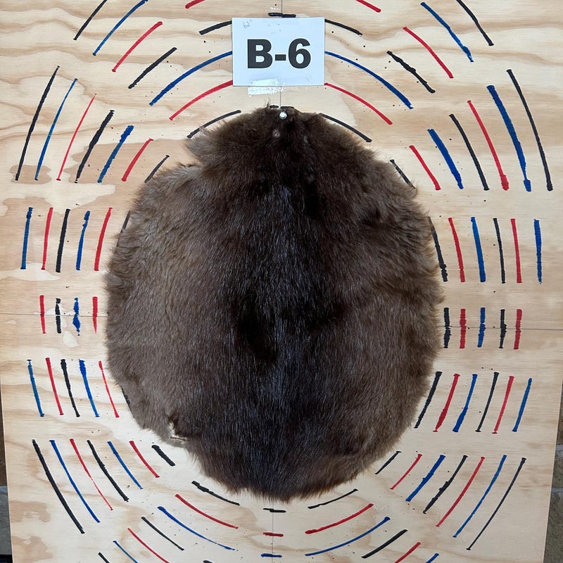 Beaver Pelt - Etsy