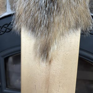 1X Badger Pelt/commercial Tanned/large Pelt/semi-heavy Furred - Etsy