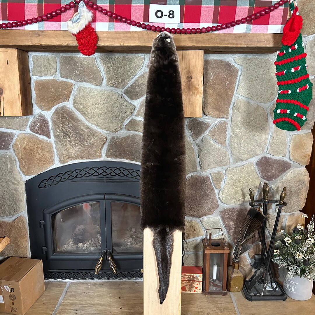 LM Real Otter Pelt/slight Damage/commercial Tanned/real Fur/ - Etsy