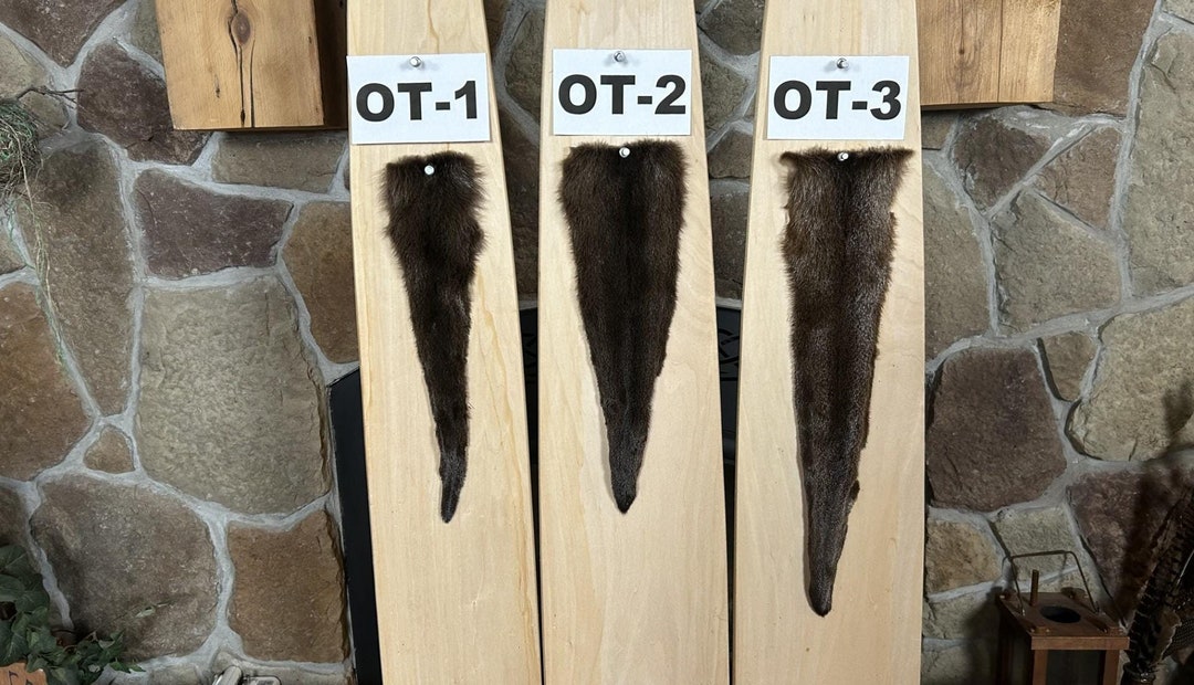 Real Otter Tail/tanned, - Etsy Canada