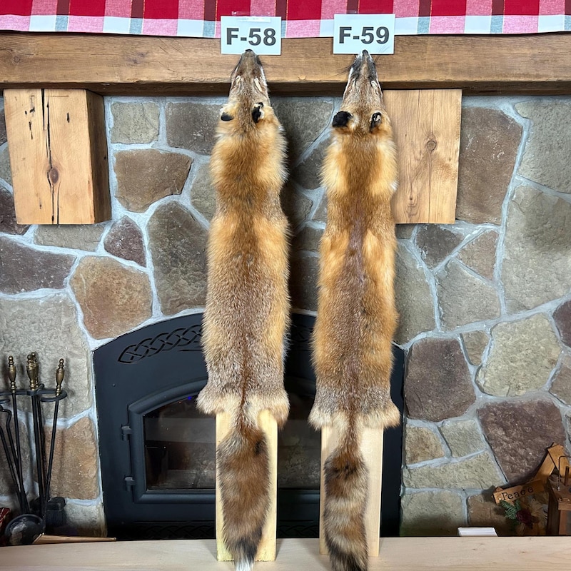 Animal Pelt With Head - Etsy