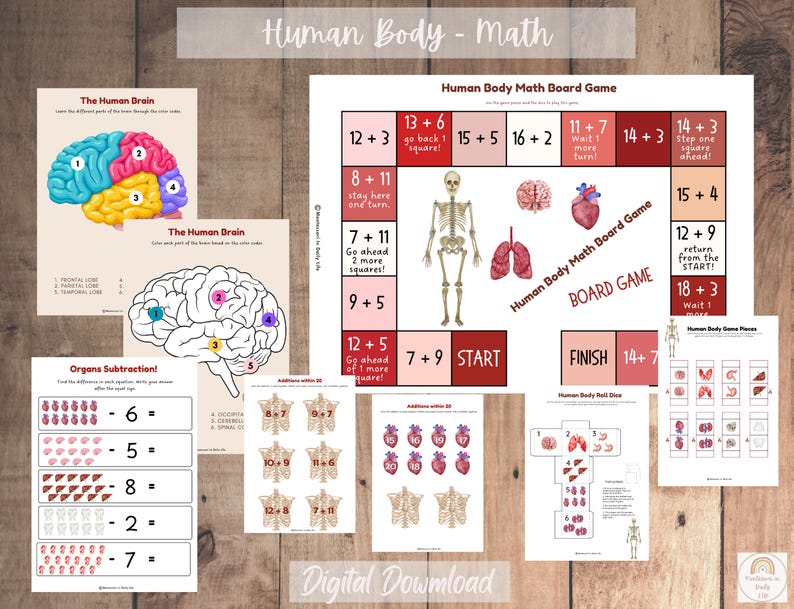 Human Body Unit Study - Etsy