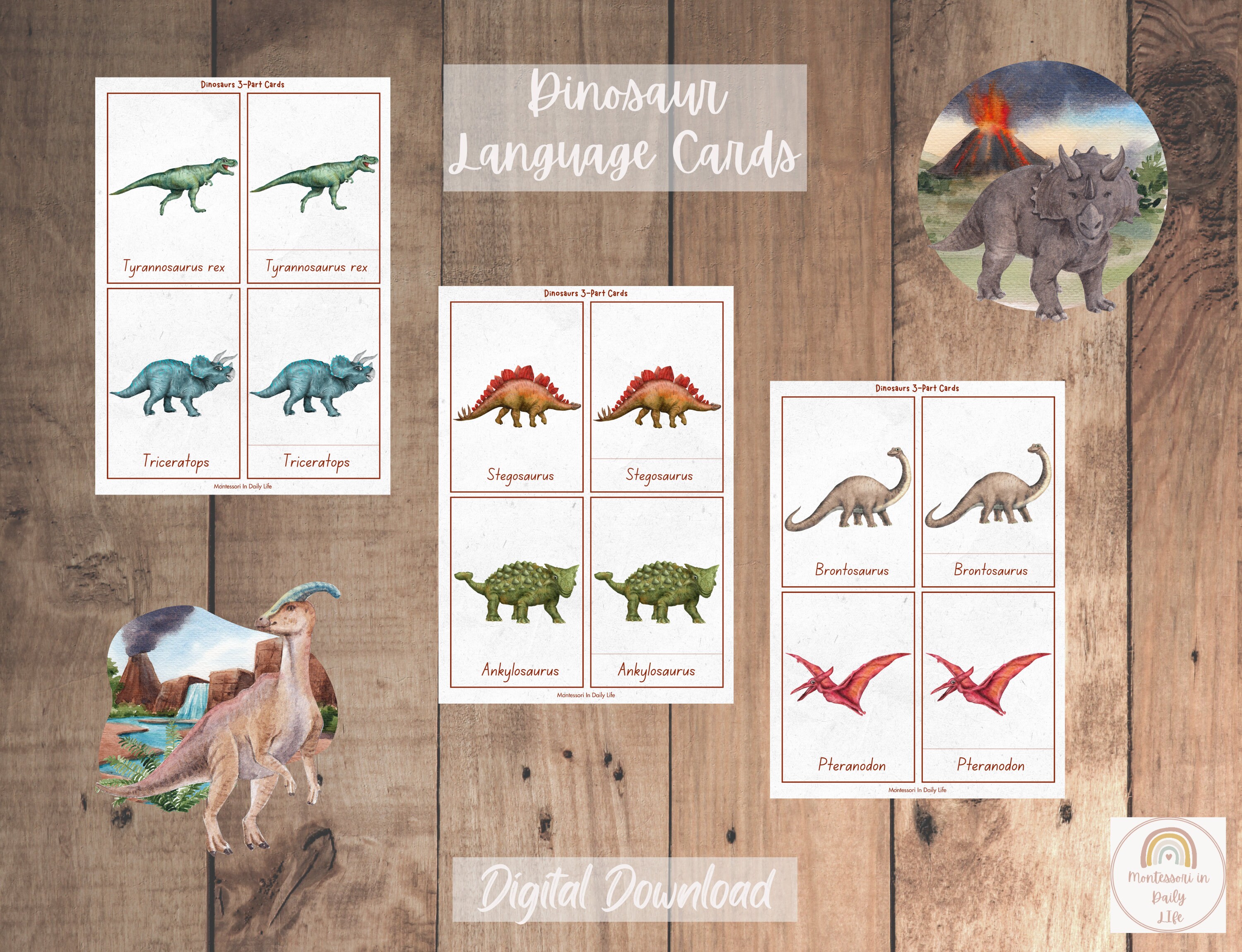 Dinosaurs Language Cards Eng, Es, It, Fr, De - Montessori 3 Part Cards ...