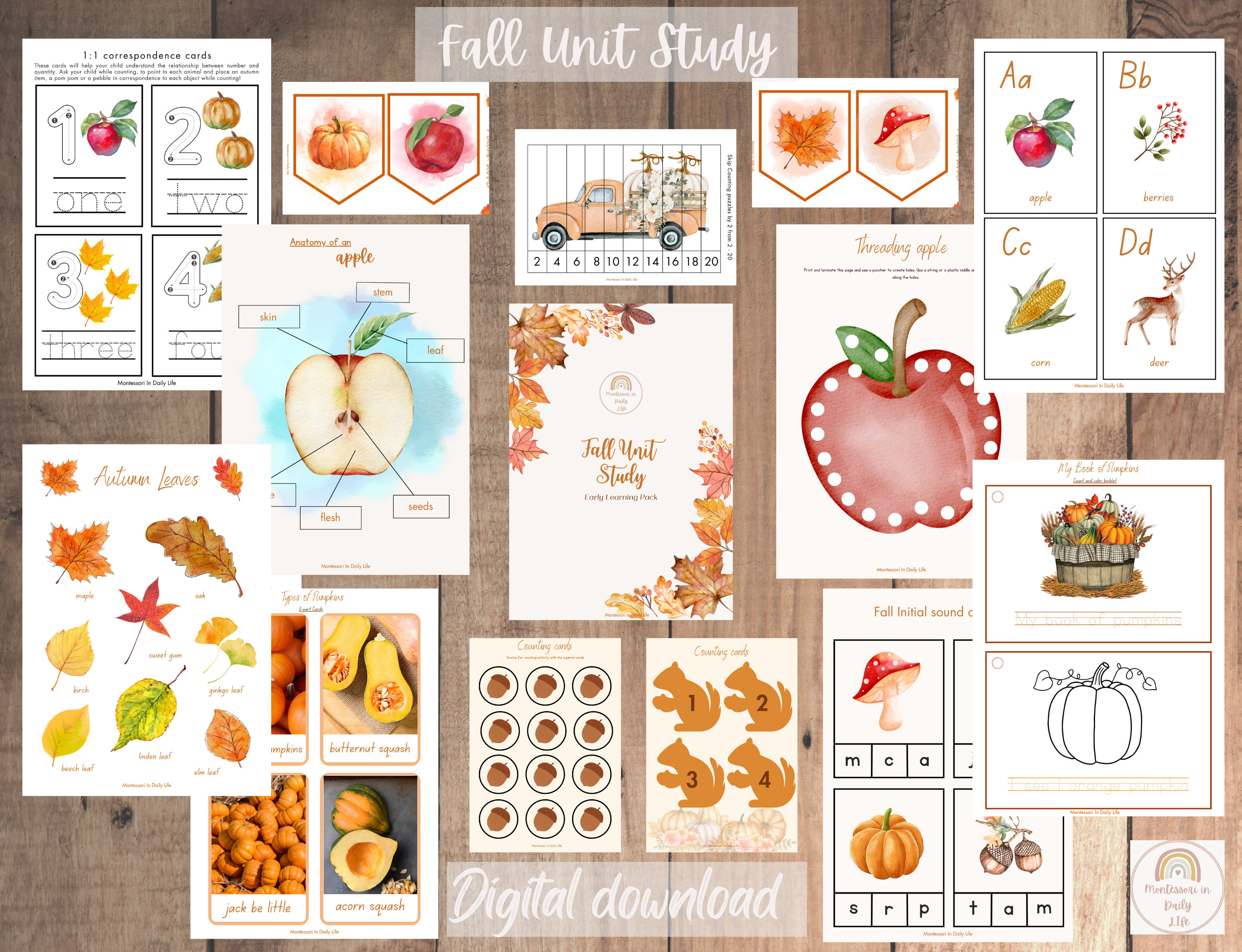 Fall Unit Study + FREE Resources - Montessori Inspired Pre-school ...