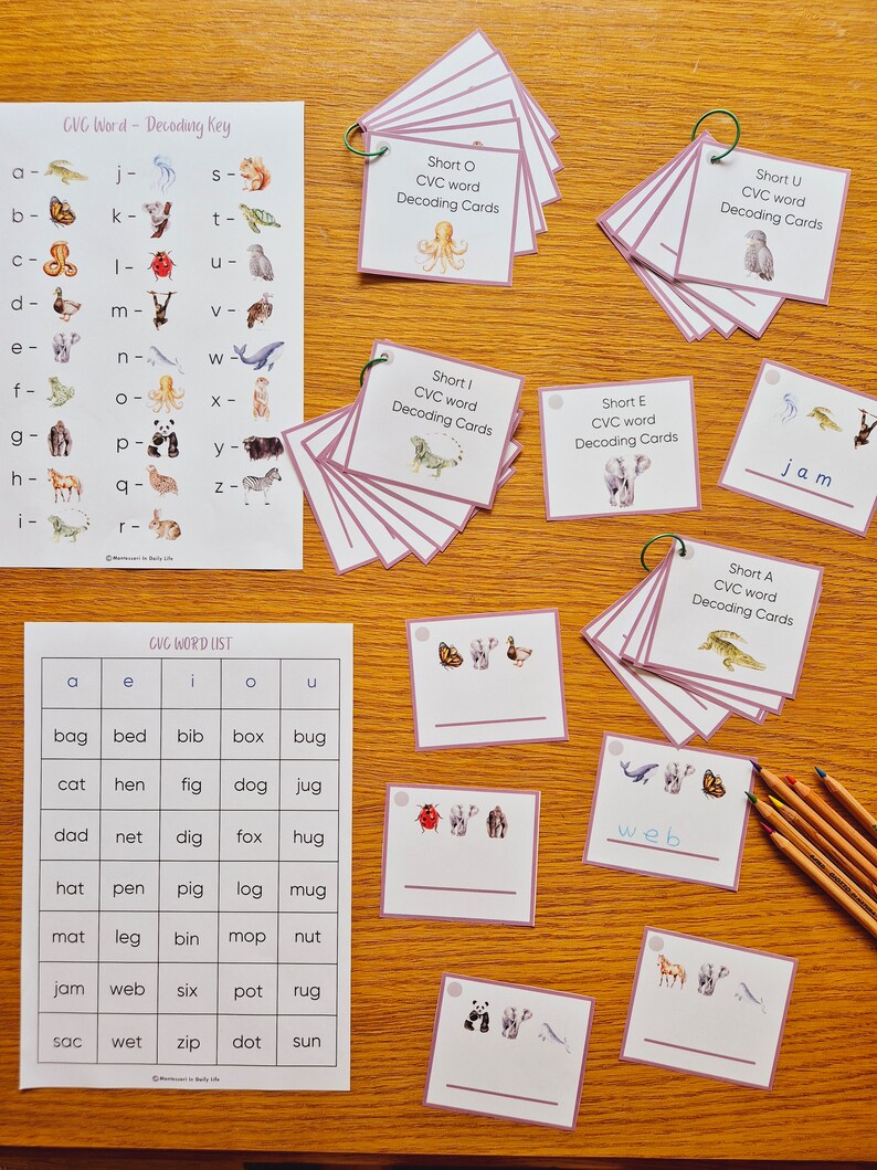 Montessori CVC Words and Phonics Activity Pack 3 - 6 Years Old - Etsy