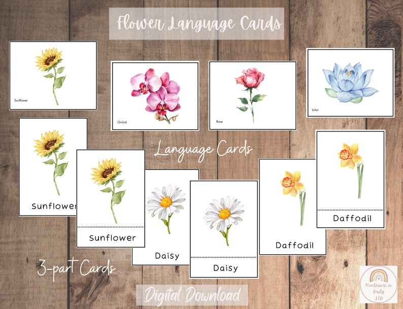 Montessori 3-part Cards - Flowers - Eng, Es, Fr, It, De - Safari Ltd ...
