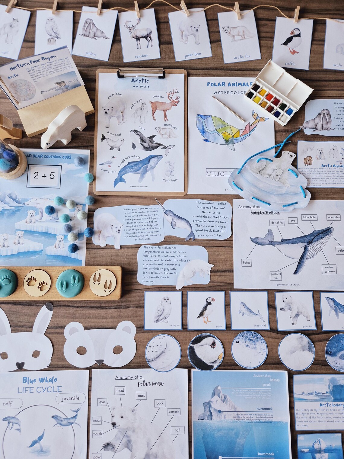Polar Adventures Unit Study - Arctic and Antarctica Studies - Etsy