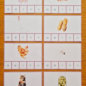 Montessori CVC Words and Phonics Activity Pack 3 - 6 Years Old - Etsy