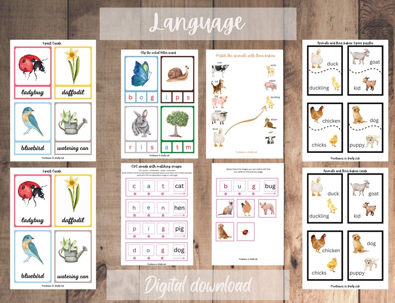 Spring Learning Pack - Montessori and Spring Inspired Activities - Etsy