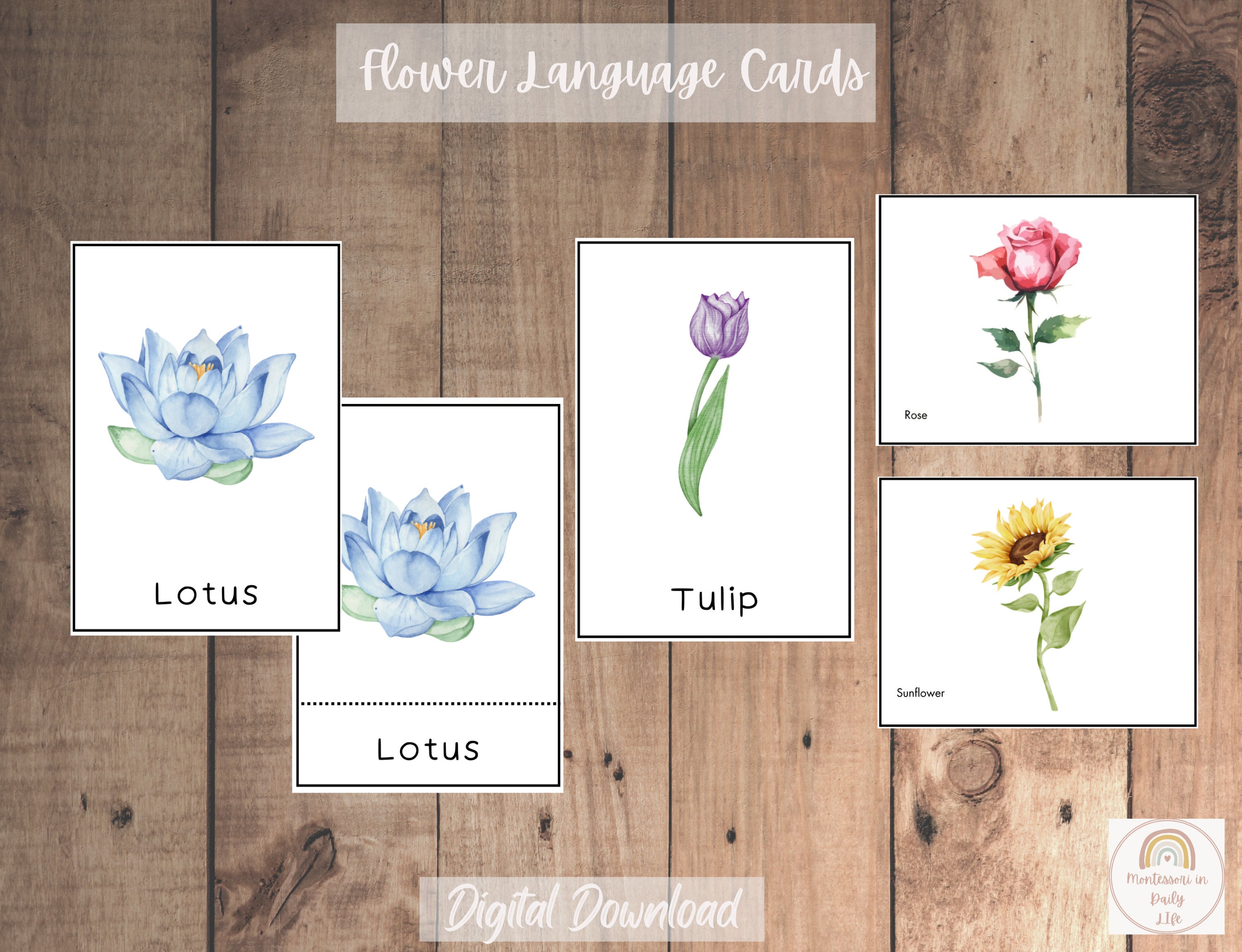 Montessori 3-part Cards - Flowers - Eng, Es, Fr, It, De - Safari Ltd ...