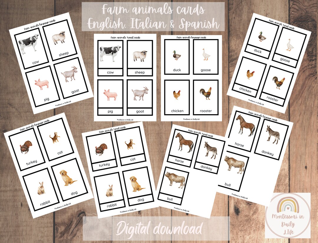 Farm Animals Eng, It, Es, Fr, De - Montessori Language Cards ...