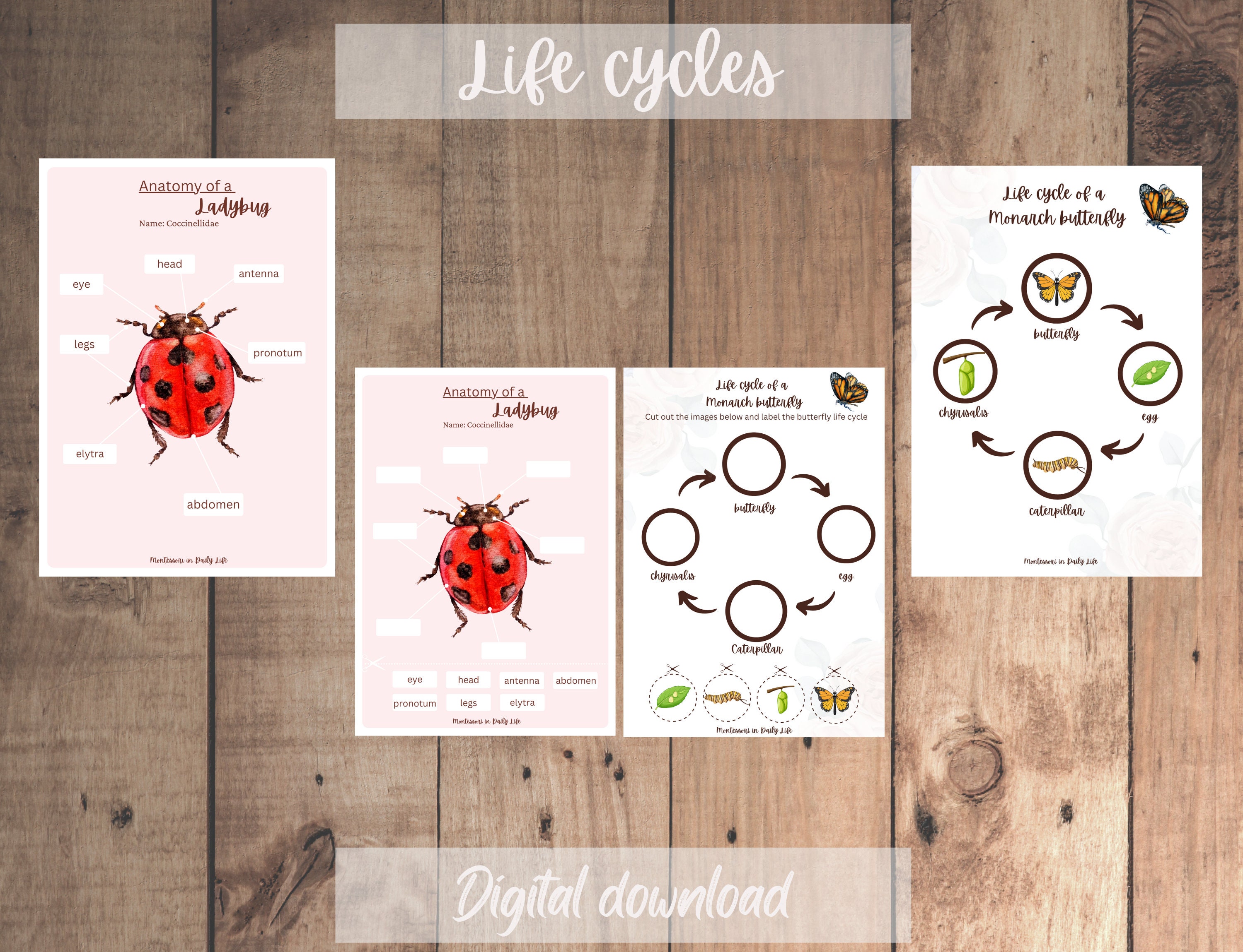 Spring Learning Pack - Montessori and Spring Inspired Activities - Etsy