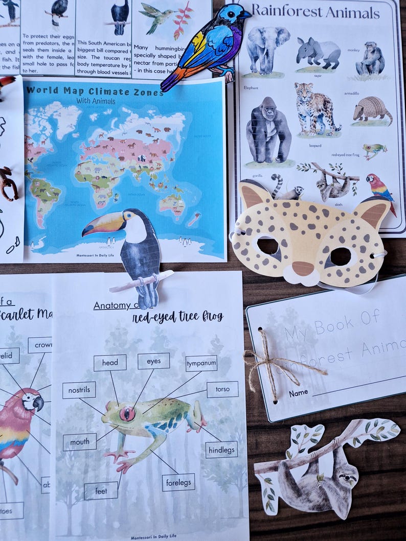 Tropical Rainforest Unit Study - Etsy