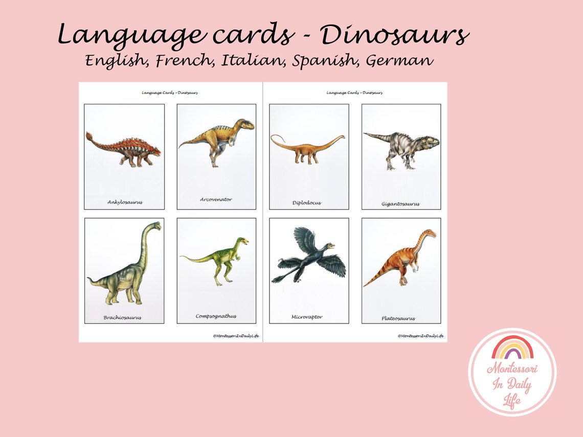 Dinosaurs Language Cards Eng Es It Fr De Montessori 3 | Etsy