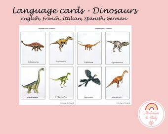 Montessori 3-part Cards Flowers Eng Es Fr It De | Etsy