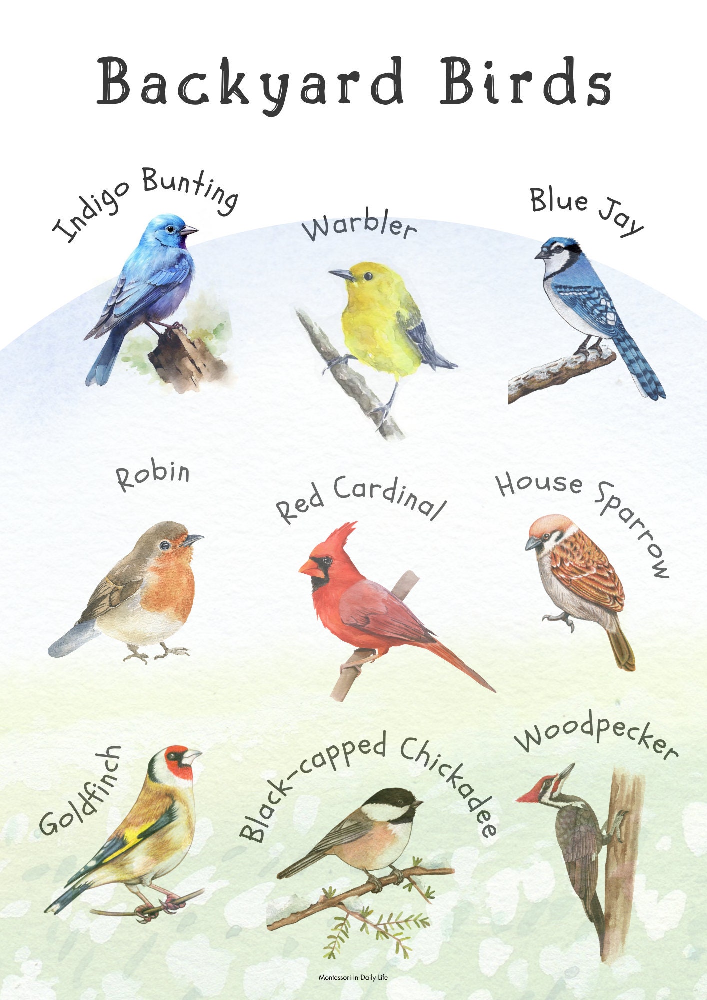 Montessori 3-part Cards - Backyard Birds + FREE Exotic Birds in 5 ...