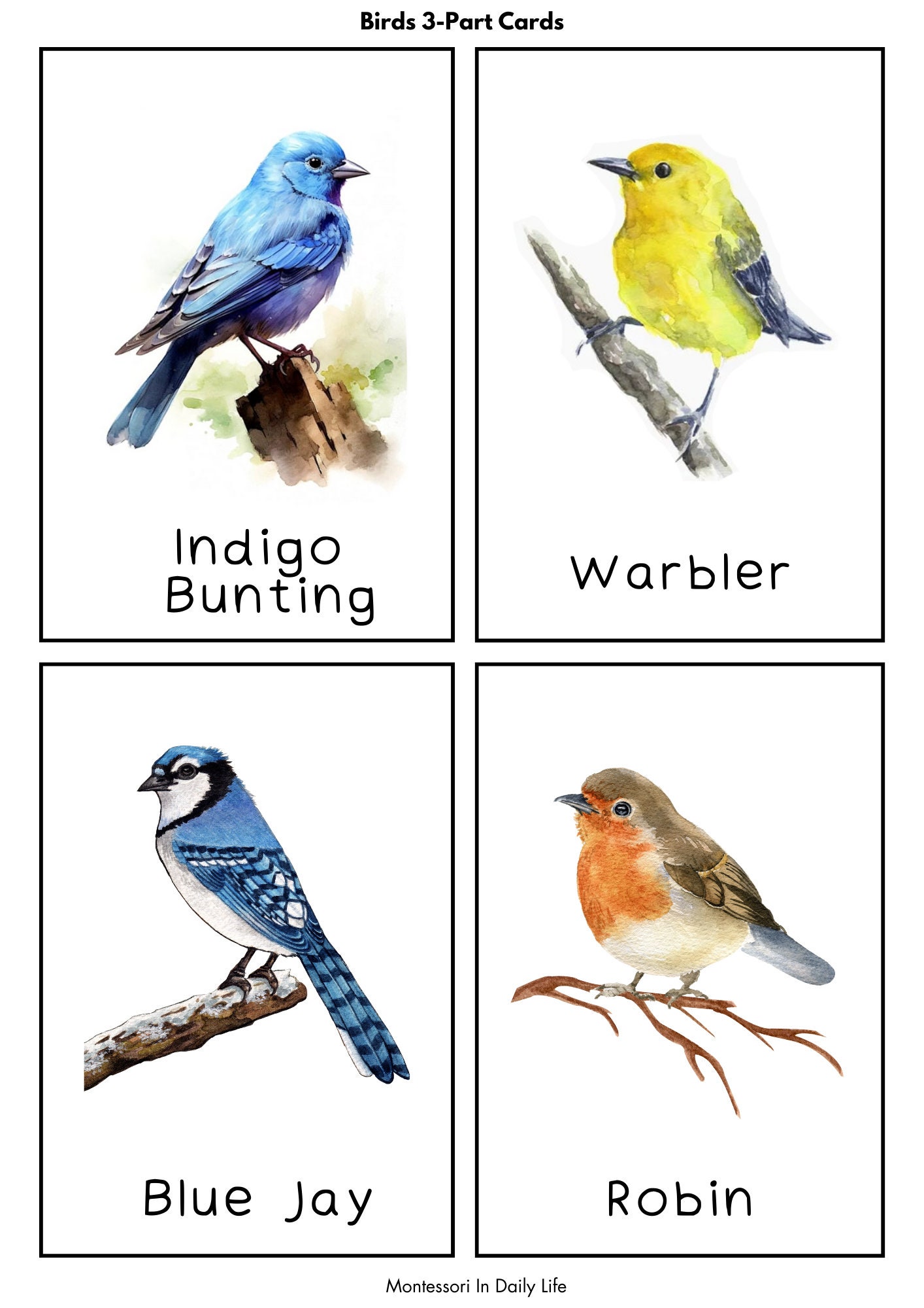 Montessori 3-part Cards - Backyard Birds + FREE Exotic Birds in 5 ...