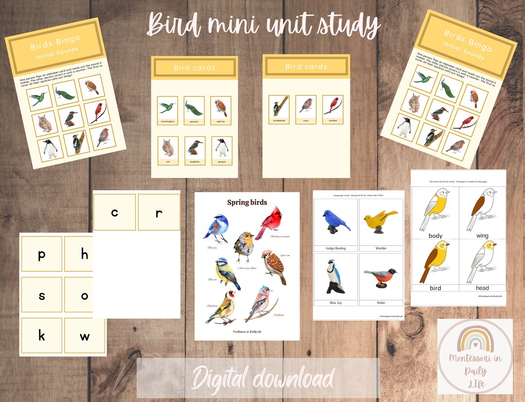 Bird Unit Study Printables - With FREE Exotic Birds Language Cards ...