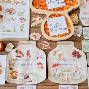 Fungi Unit Study Montessori Aligned Learning Pack - Etsy