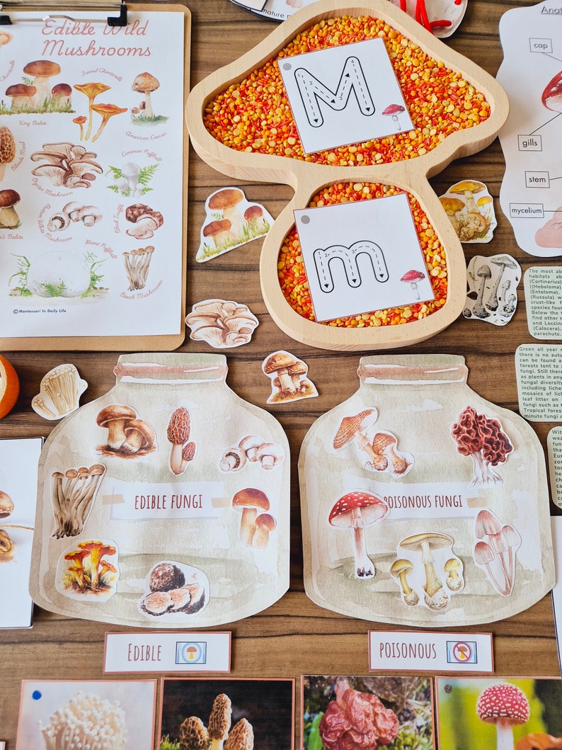 Fungi Unit Study Montessori Aligned Learning Pack - Etsy