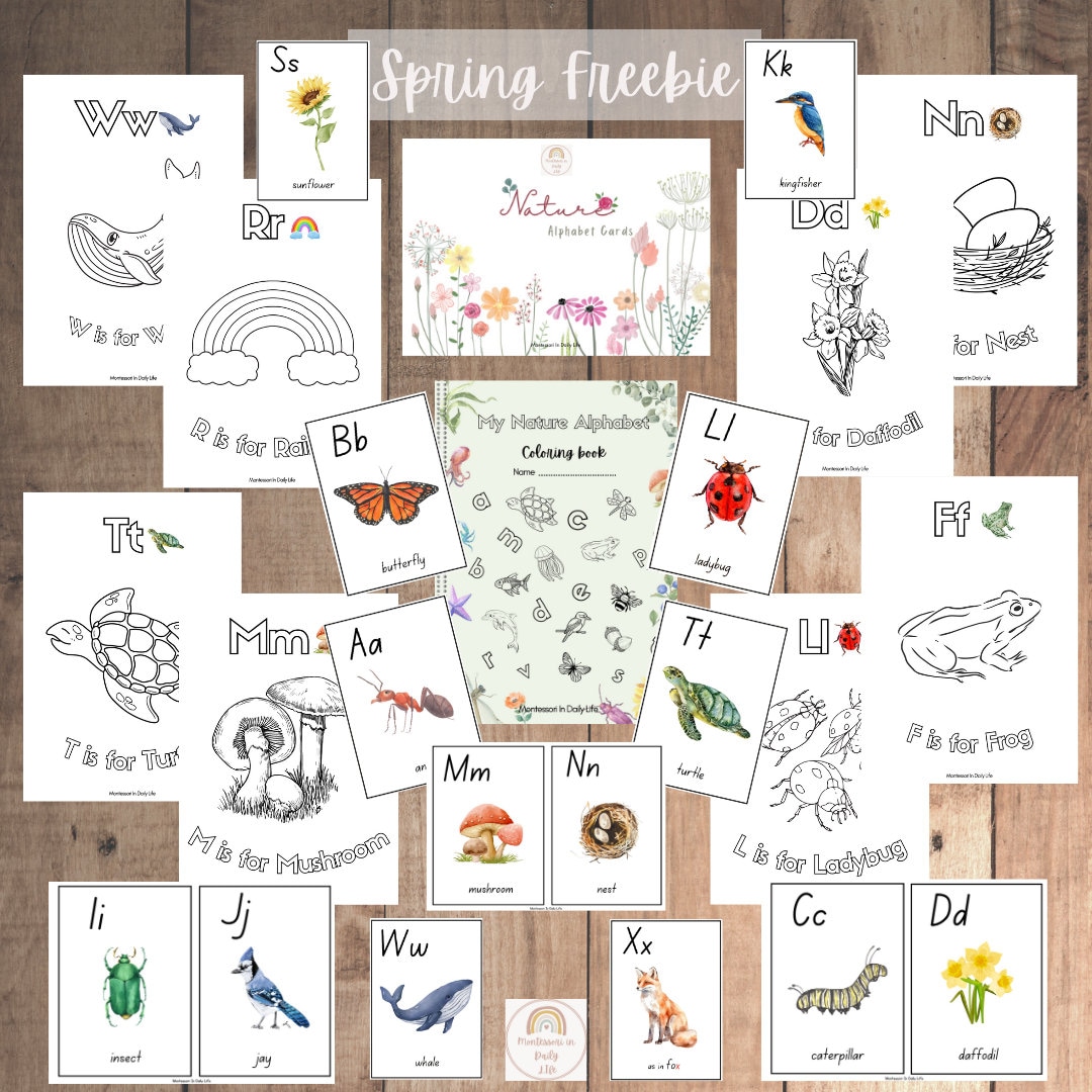 Nature Language Cards With FREE Alphabet Coloring Book - Preschool ...