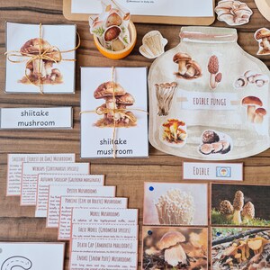 Fungi Unit Study Montessori Aligned Learning Pack - Etsy