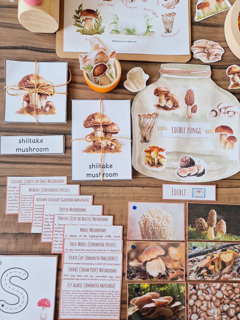 Fungi Unit Study Montessori Aligned Learning Pack - Etsy