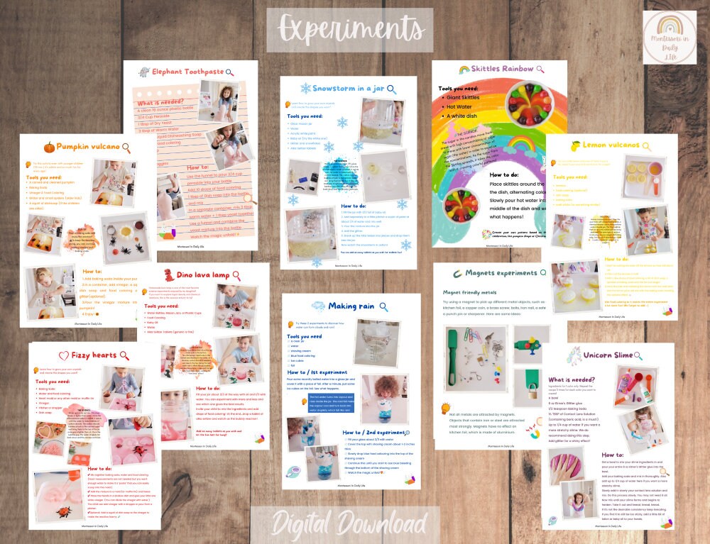 My First STEAM Activity Book FREE State of Matter Mini Pack - Etsy