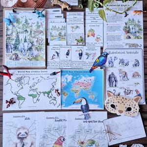 Tropical Rainforest Unit Study - Etsy