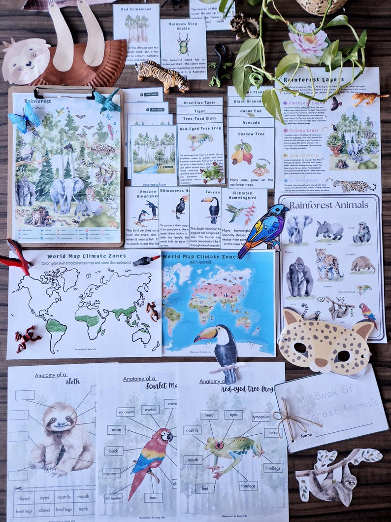 Tropical Rainforest Unit Study - Etsy