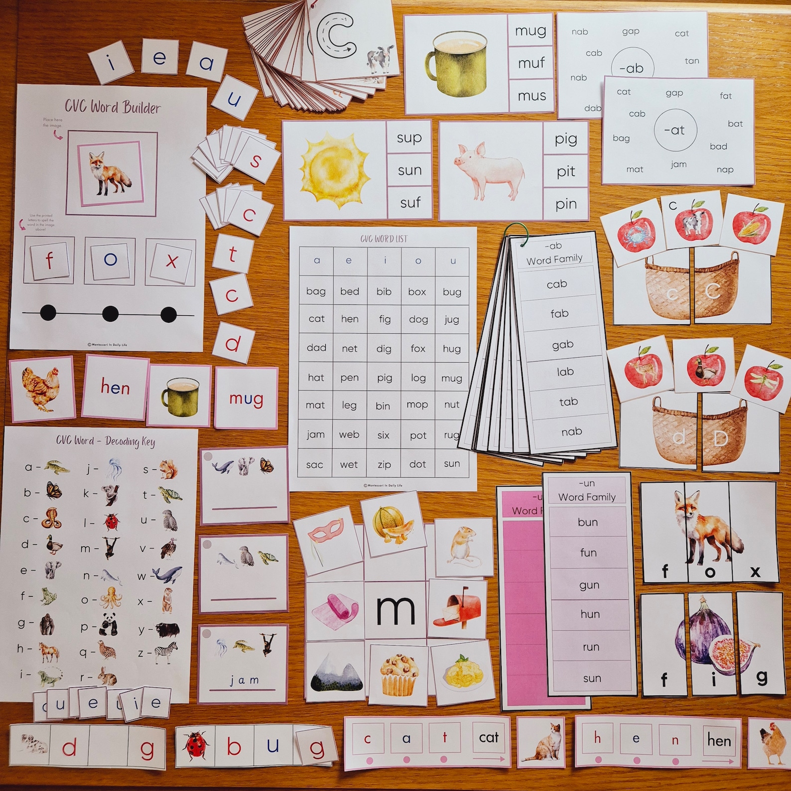 Montessori CVC Words and Phonics Activity Pack 3 - 6 Years Old - Etsy