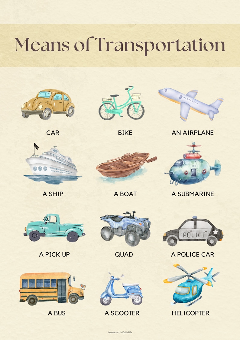 Transportation Montessori 3-part Cards: 5 Languages, Safari TOOBS ...